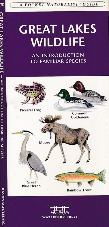 Natuurgids Great Lakes wildlife | Waterford Press | 9781583550953 ...