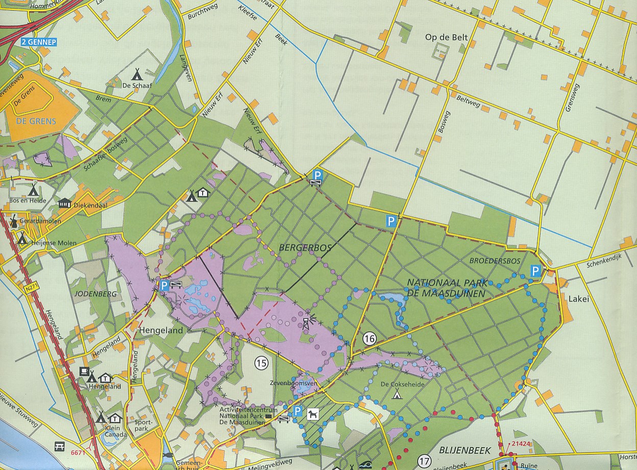 Wandelkaart 41 Staatsbosbeheer St. Anthonis-Bergerbos | Falk ...