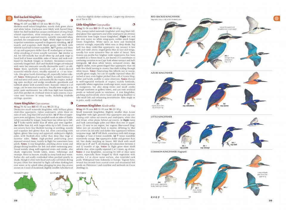 Vogelgids The Australian Bird Guide - Australie | Bloomsbury ...