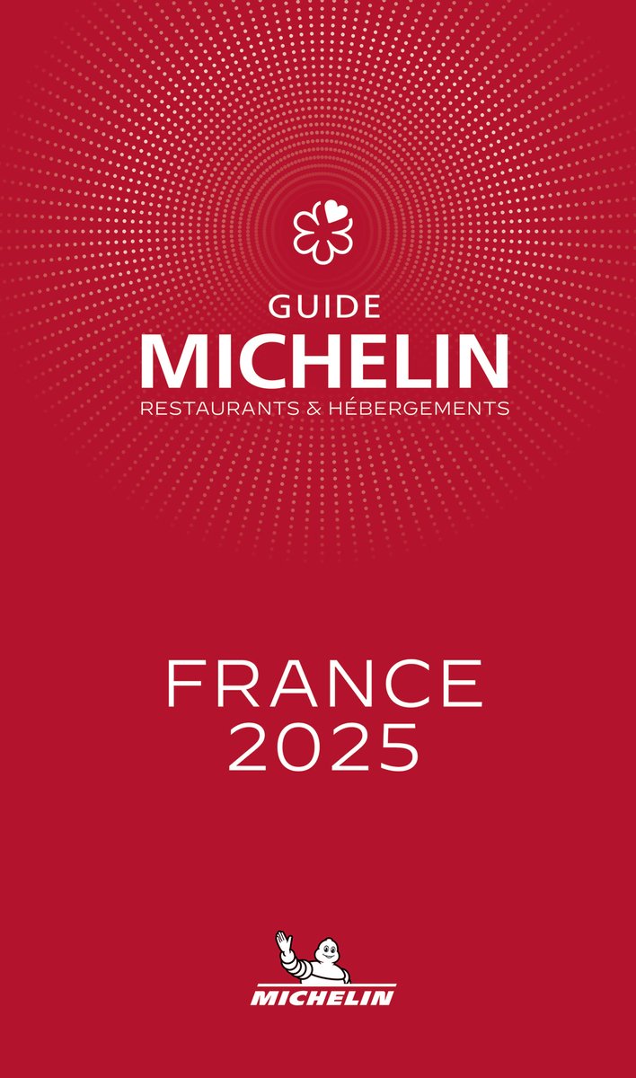Accommodatiegids France guide rouge 2025 | Michelin 9782067268302 kopen